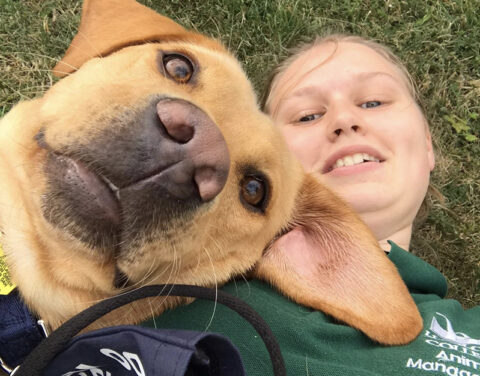 Dogs For Autism Charity providing assistance dogs to autistic families ...