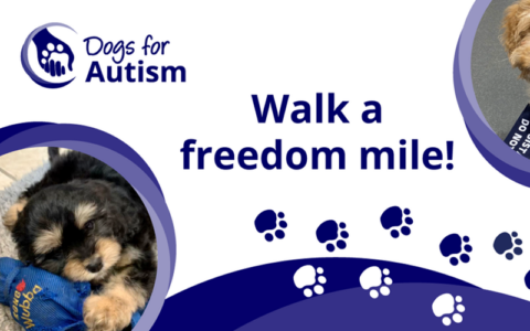 Dogs For Autism | UK's first charity exclusively providing Autism ...
