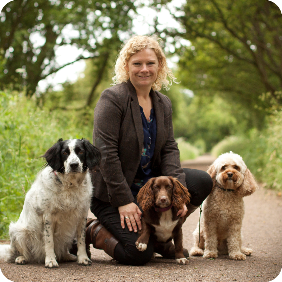 Central and Regional Dog Training Team - Dogs For Autism
