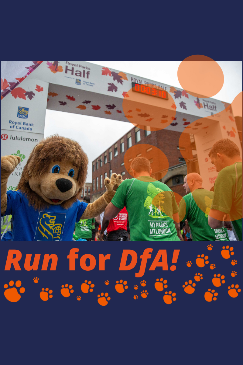 Dogs For Autism | UK's first charity exclusively providing Autism ...