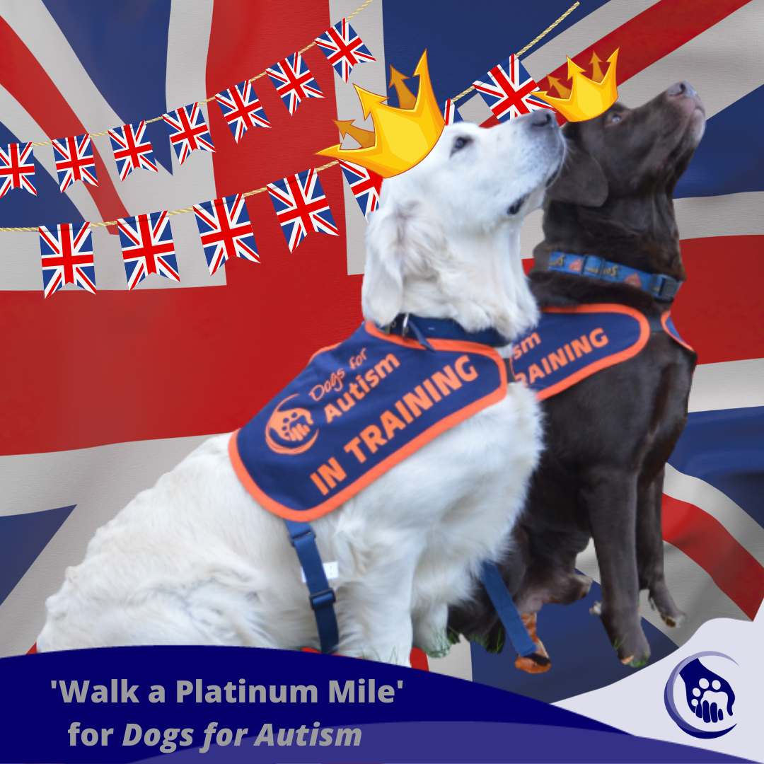 Dogs For Autism | UK's first charity exclusively providing Autism ...