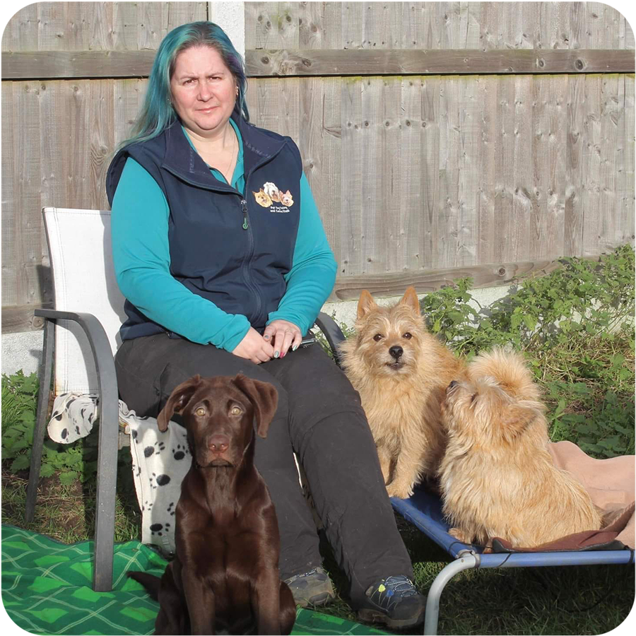 Central and Regional Dog Training Team - Dogs For Autism