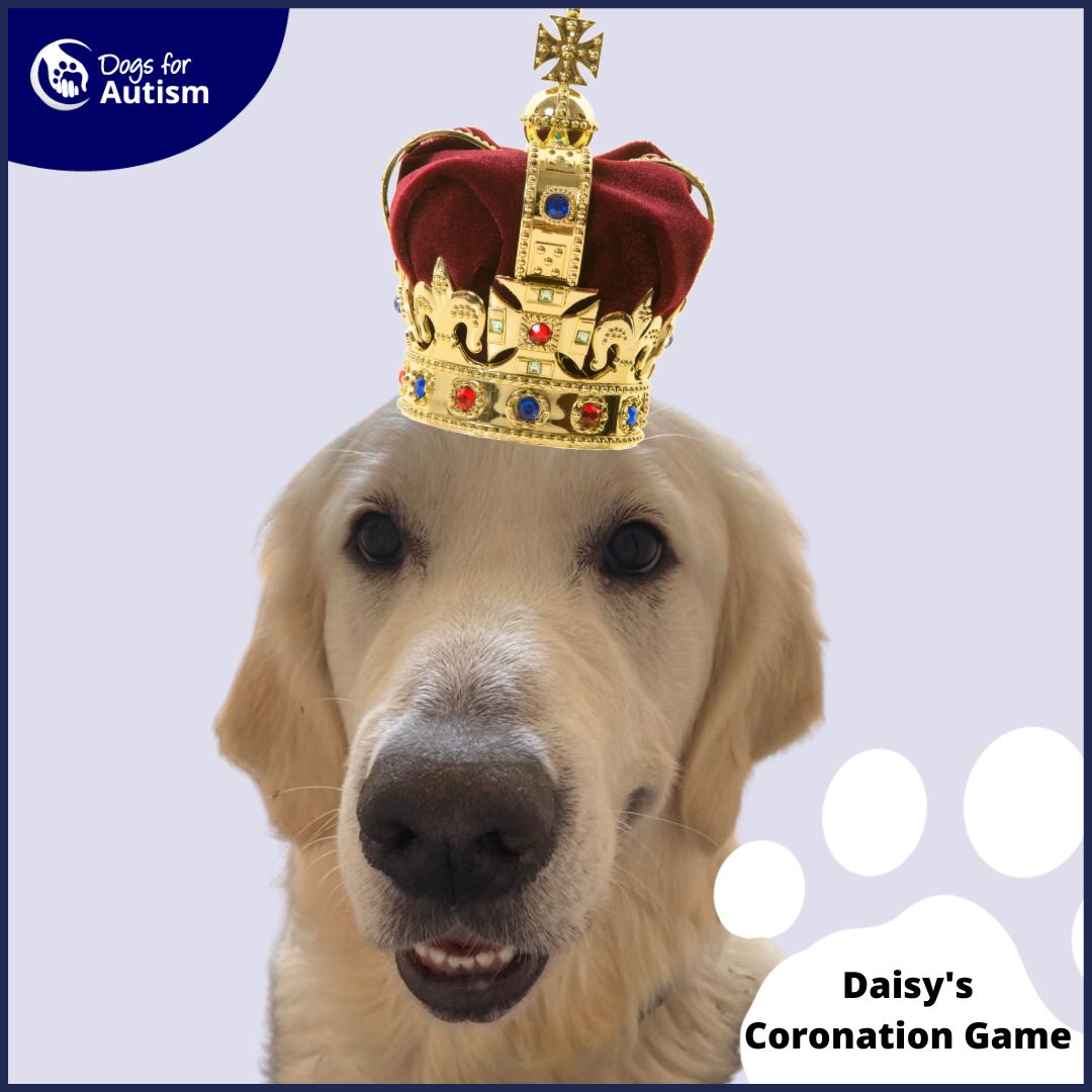 Dogs For Autism | UK's first charity exclusively providing Autism ...