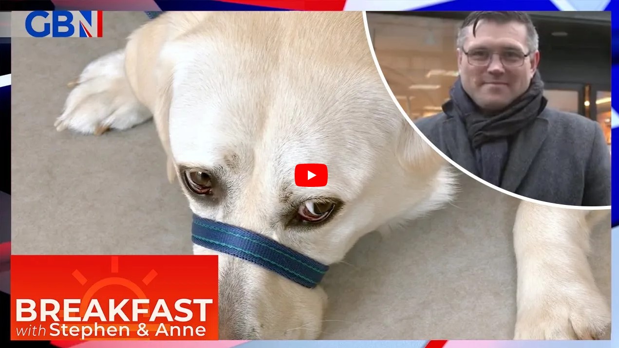 Dogs For Autism Charity providing assistance dogs to autistic families ...