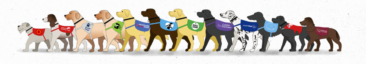 Dogs For Autism | UK's first charity exclusively providing Autism ...