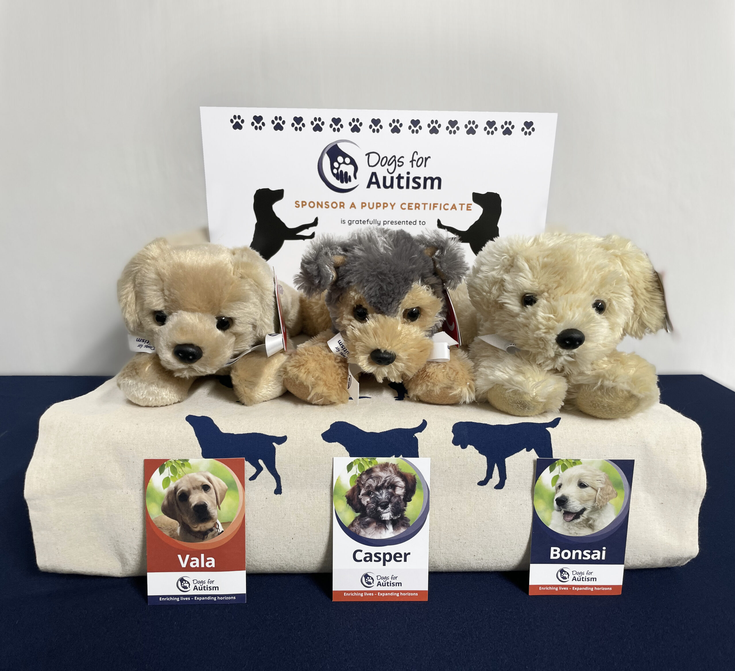 Puppy - Dogs For Autism