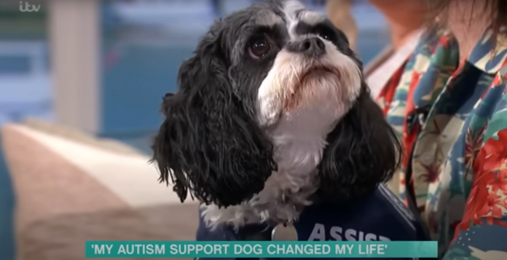 Peter and Coco at ITV